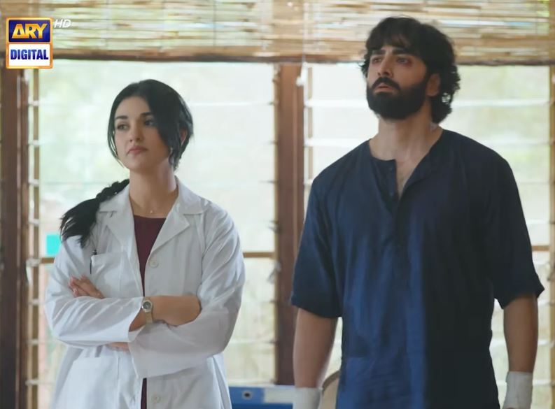 Sher Episode 14 Highlights: Sher & Fajar Magical Moment