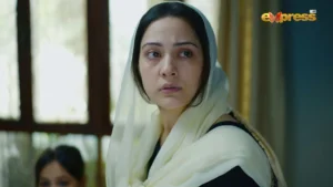 Sauda Drama: Cast, Release Date & Story - WeGreen Entertainment