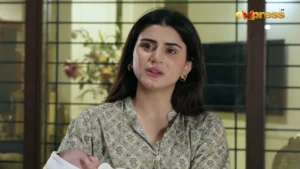 Sauda Drama: Cast, Release Date & Story - WeGreen Entertainment